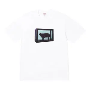 Supreme X Damien Hirst T-shirt - White