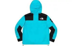 Supreme X The North Face Arc Logo Mountain Parka