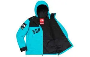 Supreme X The North Face Arc Logo Mountain Parka