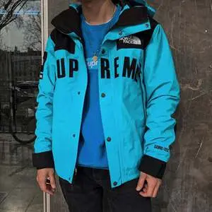 Supreme X The North Face Arc Logo Mountain Parka