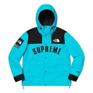Supreme X The North Face Arc Logo Mountain Parka - Blue