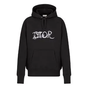 Dior X Peter Doig Crossover Fw21 Logo Embroidered Pullover