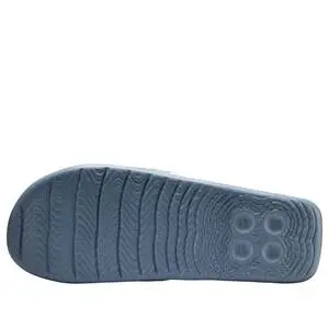 Nike Max Cirro Slide - Ashen Slate/photon Dust