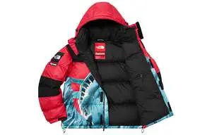 Supreme X The North Face Statue Of Liberty Mountain Jacket - Red