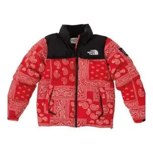 The North Face Nuptse Bandana Print Down Jacket