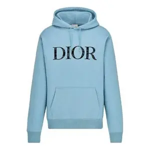 Dior X Peter Doig Crossover Hoodie