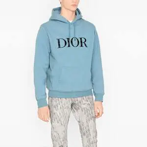 Dior X Peter Doig Crossover Hoodie
