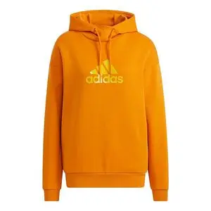 Adidas Hooded Logo Sweatshirt