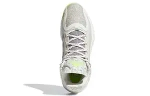 Adidas D Rose "vet-tix" Fv8930 - Grey/green