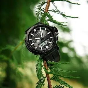 Casio Pro Trek Analog Sports Watch