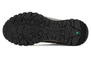 Timberland Lincoln Peak Low Hiker Shoes