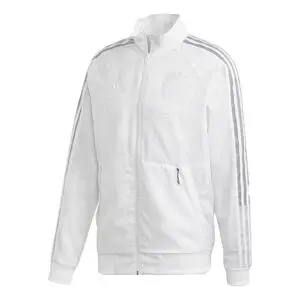 Adidas Dfb Training Jacket - White