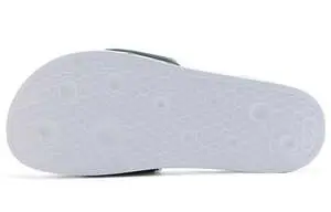 PUMA Leadcat Slides - White/green