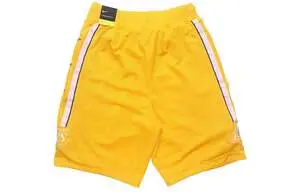 Nike Nba Los Angeles Lakers Basketball Shorts