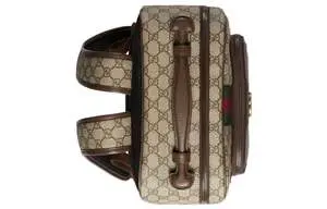 Gucci Ophidia Gg Medium Backpack