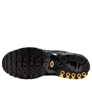 Nike Max Plus Sneakers - Black