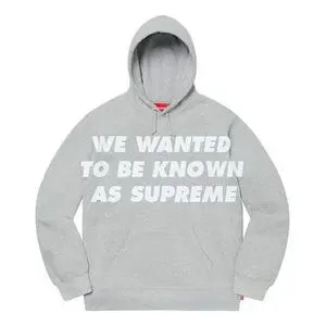 Supreme Known As Hooded Sweatshirt - Grey/white