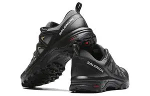SALOMON X Braze Gtx