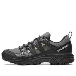 SALOMON X Braze Gtx - Black/grey