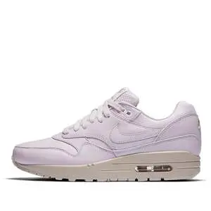 Nike Nike Air Max 1 Pinnacle Sneakers Venice