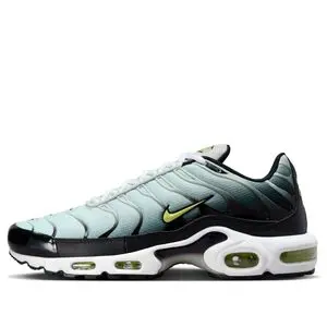 Nike Nike Air Max Plus Sneakers Black/bright Cactus/light Silver