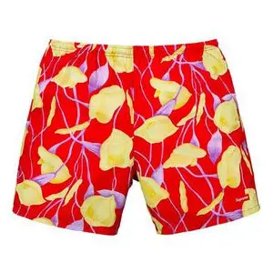 Supreme Ss18 Nylon Water Short - Red