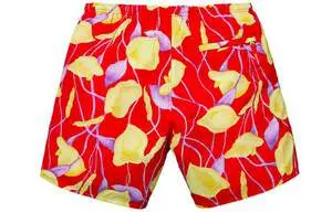 Supreme Ss18 Nylon Water Short