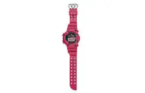 Casio Frogman Diver's Watch