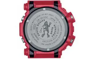 Casio Frogman Diver's Watch