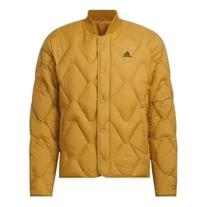 Adidas Padded Varsity Bomber Jacket