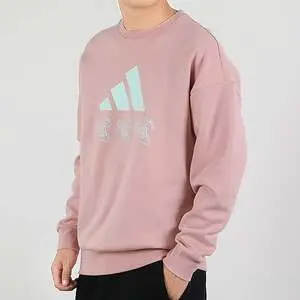 Adidas Long Sleeve Pullover