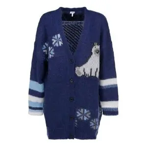 Loewe Ss21 Large Multi-color Cardigan
