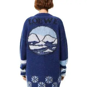 Loewe Ss21 Large Multi-color Cardigan