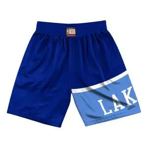 Mitchell & Ness Los Angeles Lakers 1959-60 Team Heritage Shorts - Navy Blue