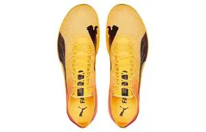 PUMA Evospeed Distance Track Spikes