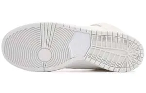 Nike Dunk High Pro "metallic Summit - White