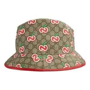 Gucci Gg Apple Print Canvas Hat