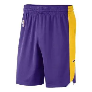 Nike Los Angeles Lakers Basketball Shorts - Purple
