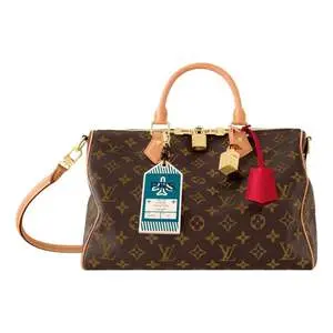 LOUIS VUITTON Speedy Soft 30 Crafty Bag - Monogram