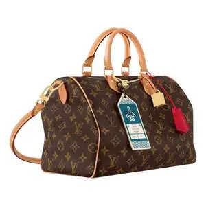 LOUIS VUITTON Speedy Soft 30 Crafty Bag - Monogram