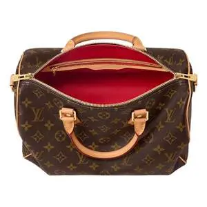 LOUIS VUITTON Speedy Soft 30 Crafty Bag - Monogram