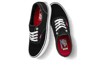 VANS Authentic Pro Sneakers - Black
