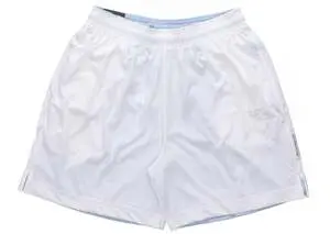 Nike Standard Issue Mesh Shorts