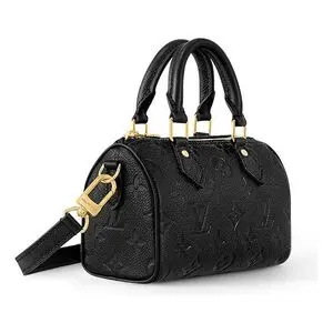 LOUIS VUITTON Speedy Nano Bag