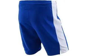 Nike Dri-fit Shorts