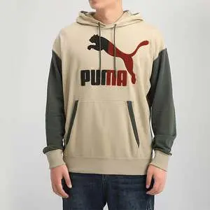 PUMA Colorblock Hooded Sweatshirt