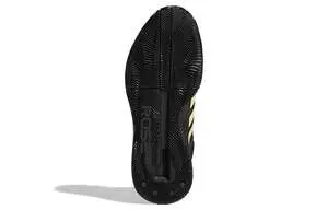 Adidas D Rose High Top Sneakers