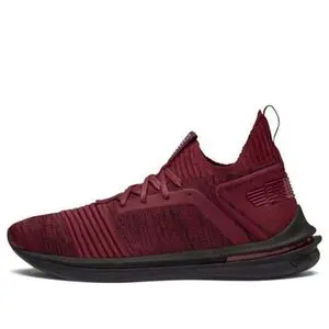 PUMA Ignite Limitless Sr Evoknit Low Top Sneakers - Red