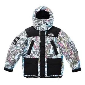 Supreme X The North Face 700-fill Down Parka - Multi-color