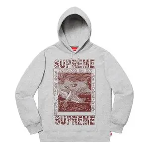 Supreme Doves Hooded Sweatshirt - Grey